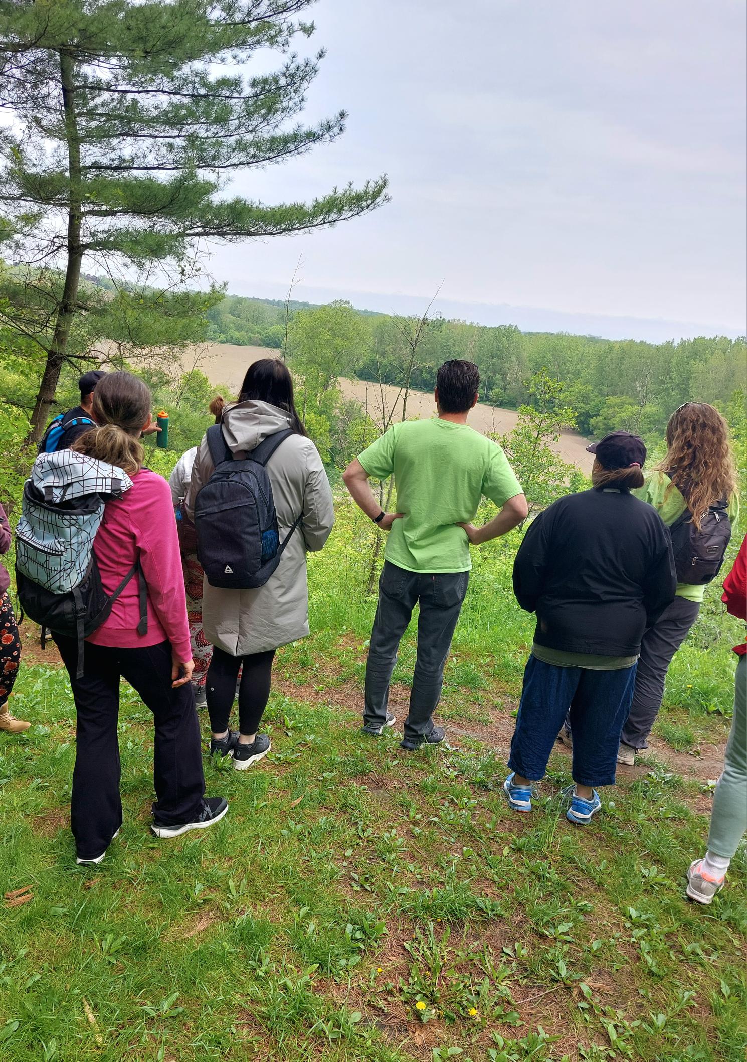 OUR PEER PROGRAMS | Helping Ourselves through Peer Support & Employment